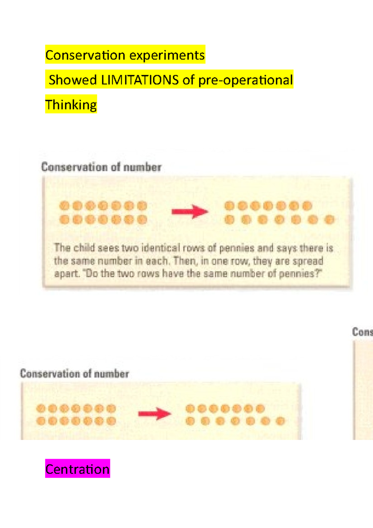 Cognitive developement part 3 - Conservation experiments Showed ...