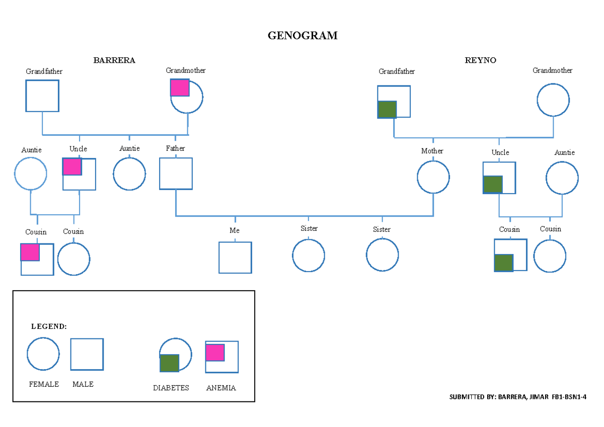Genogram 1 - Bachelors of science in nursing - SUBMITTED BY: BARRERA ...