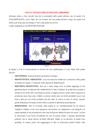 Arboree 1 - Primo argomento prima lezione - LEZIONE 1 Le piante arboree ...
