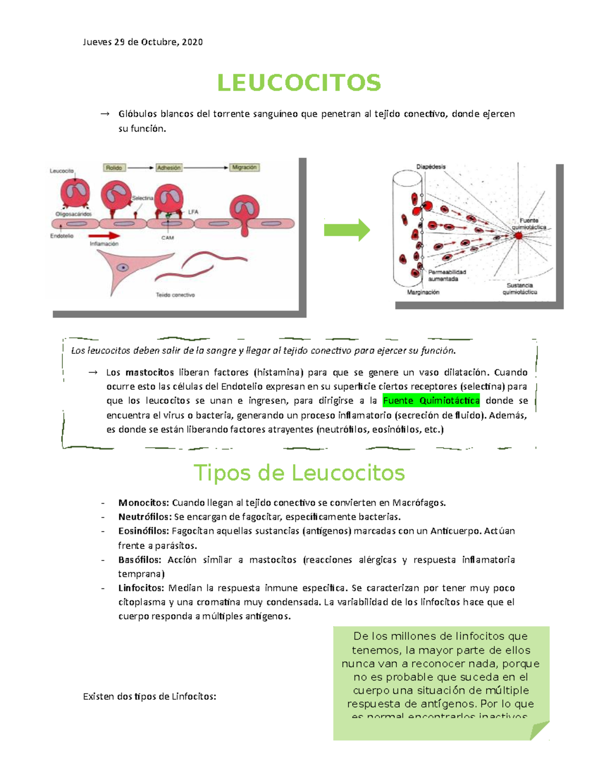 Clase 07 (29-10-2020) - Apuntes cingulo escapular o pectoral ...