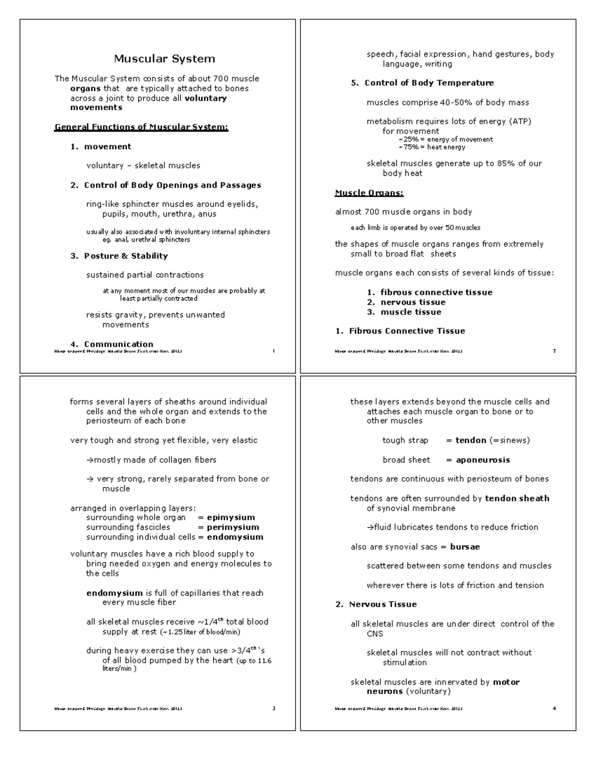 D.Muscular System 2404 copy - speech, facial expression, hand gestures ...
