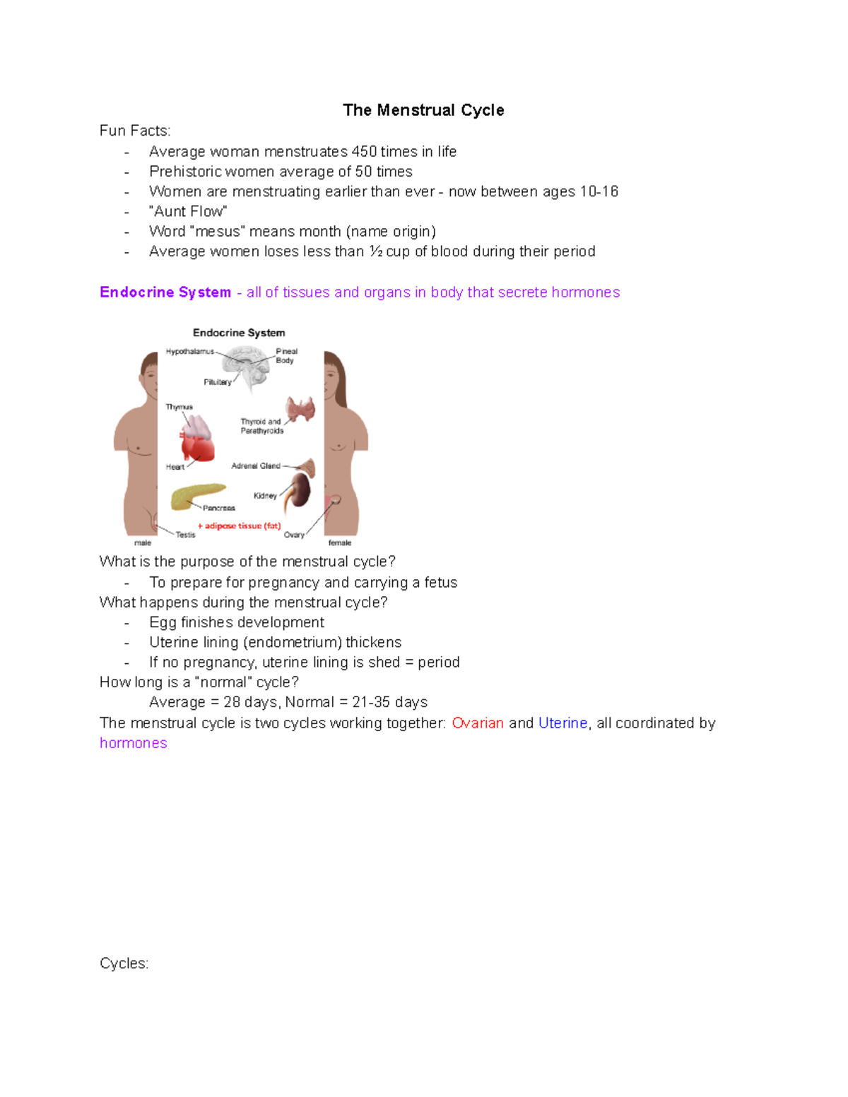 Lecture 2 Notes - The Menstrual Cycle Fun Facts: Average woman ...