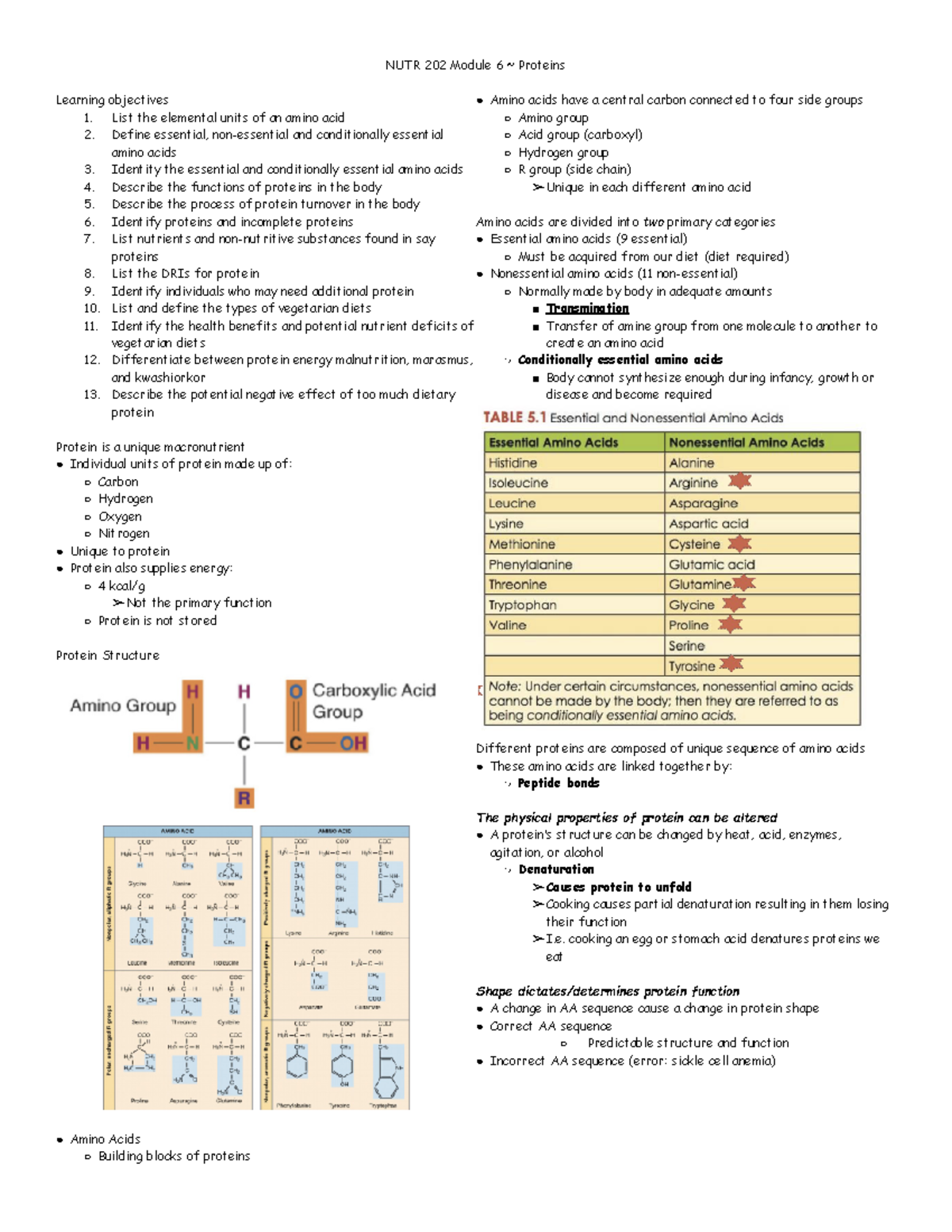 NUTR 202 Module 6 ~ Proteins (Danielle Hammond-Krueger) - NUTR 202 ...