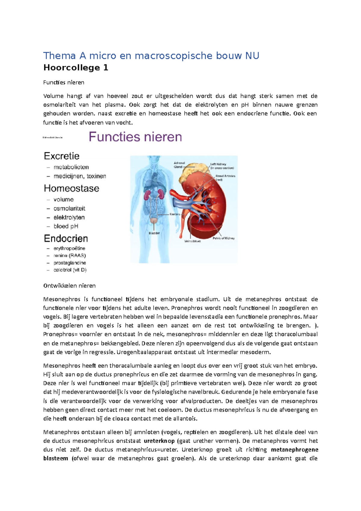Nieren en Urinewegen thema A - Thema A micro en macroscopische bouw NU ...
