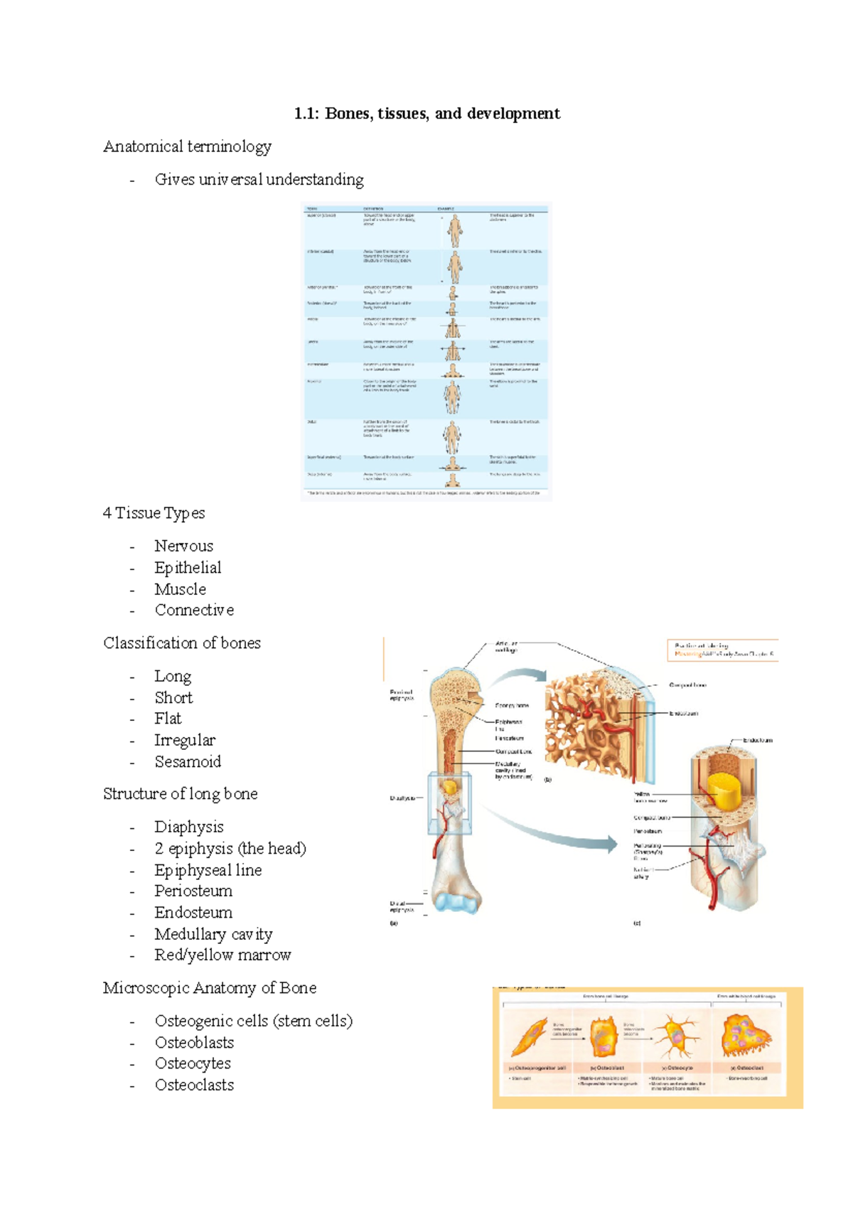 Bones and muscles summary sheet - 1016MSC - Griffith - Studocu