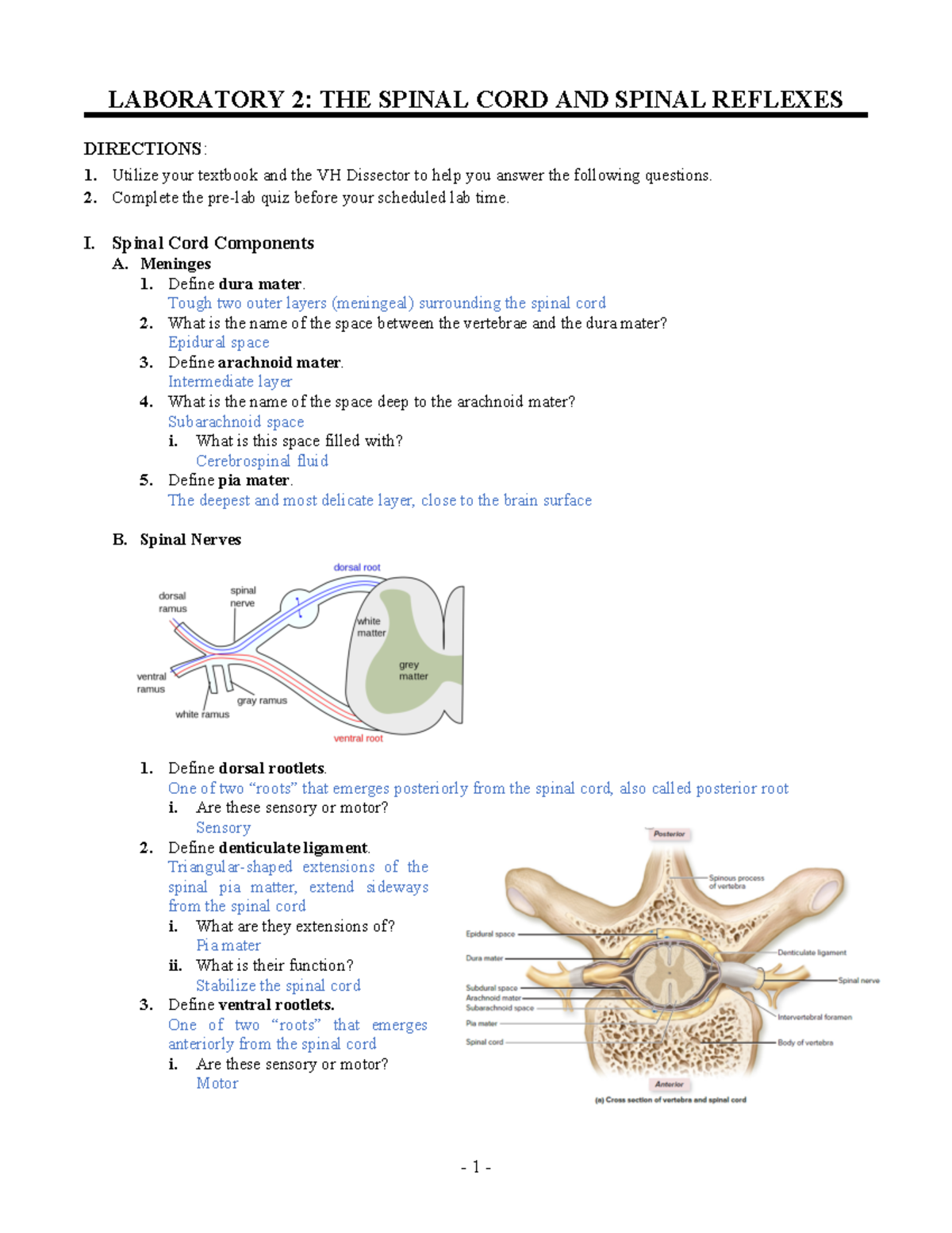 HSCI 102 Lab 2 Pre-Lab Worksheet Winter 2023 - LABORATORY 2: THE SPINAL ...