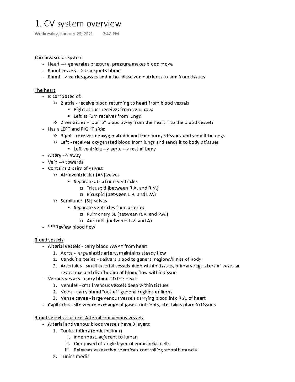 CV System Overview - Lecture notes 1 - ĂƌĚŝŽǀĂƐĐƵůĂƌ ƐLJƐƚĞŵ - Studocu