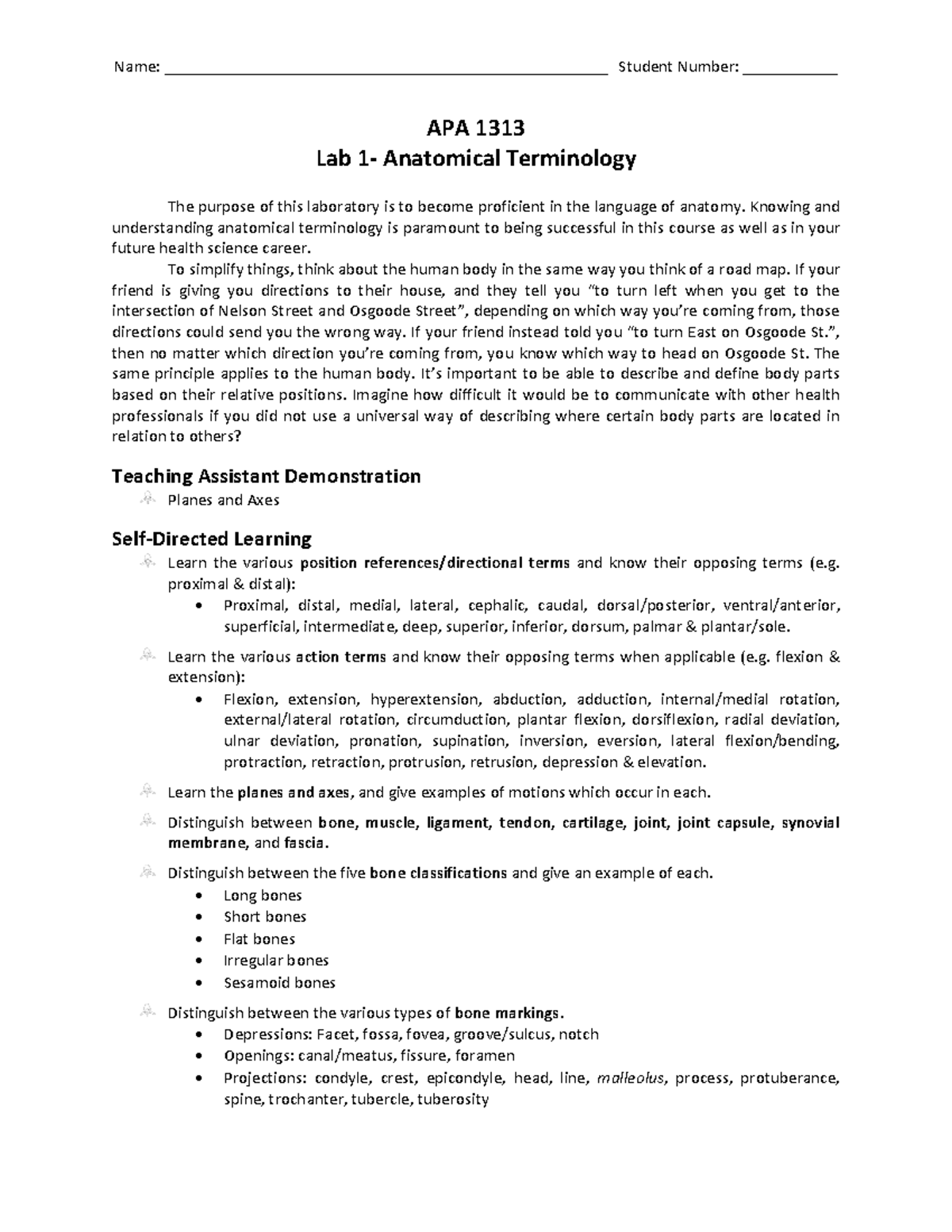 Lab 1 - Anatomical terminology basic terminology - APA 1313 Lab 1 ...