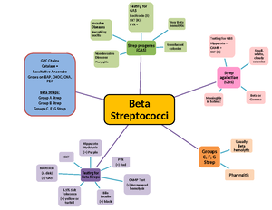Antibiotics Chart - Class/MOA Drug/MOA MOR Susceptibility Adverse Rxns ...