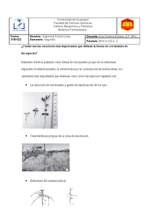 Ooforitis - ... - Ooforitis Es la inflamación del ovario ocasionada por ...