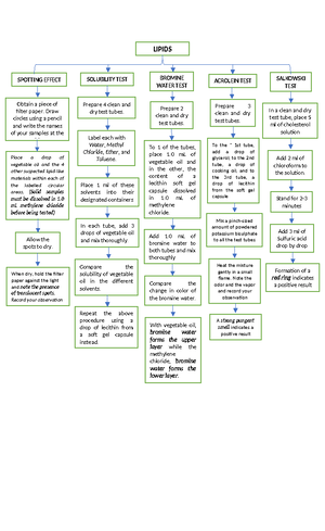 Part 2 enzymes - schematic diagram - ENZYMES UREASE Measure 10 grams of ...
