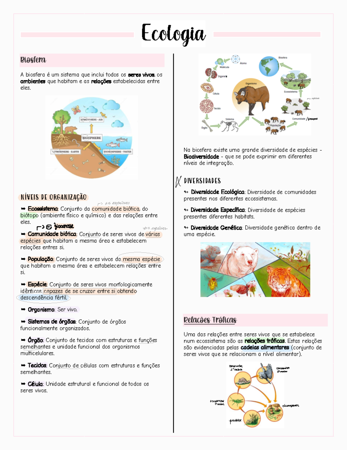 Bio 10 - Resumos de biologia de 10° ano - Ecologia A biosfera é um sistema que inclui todos os ...