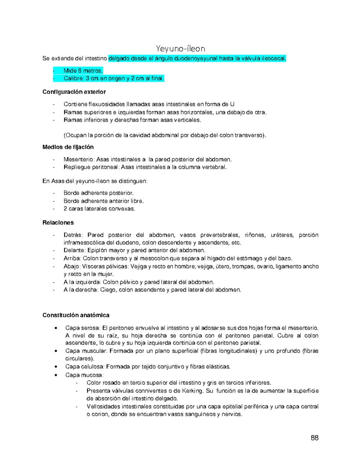 Enorme guía de anatomía-88-96 - Yeyuno-íleon Se extiende del intestino ...
