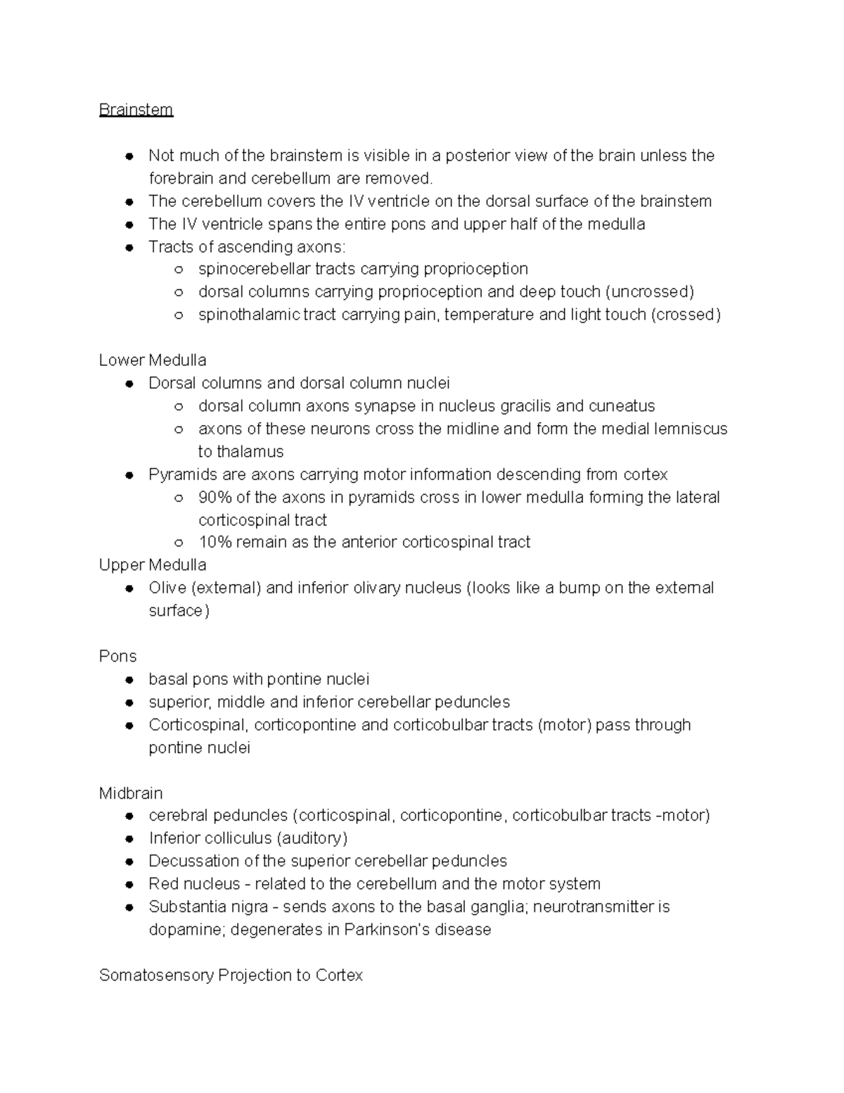 NSCI 2100 12 Brainstem Lecture Notes Brainstem Not Much Of The nsci-2100-12-brainstem-lecture-notes-brainstem-not-much-of-the