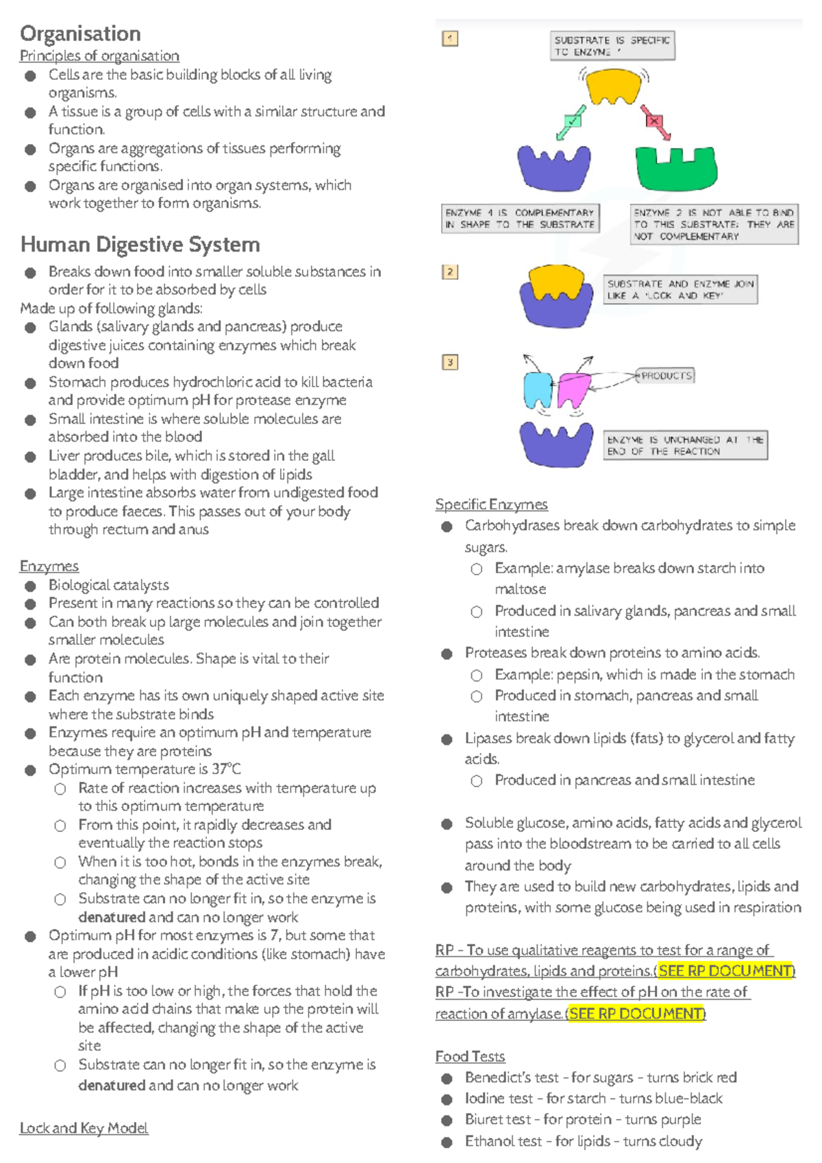 B2 (Organisation) Summary - Organisation Principles of organisation ...