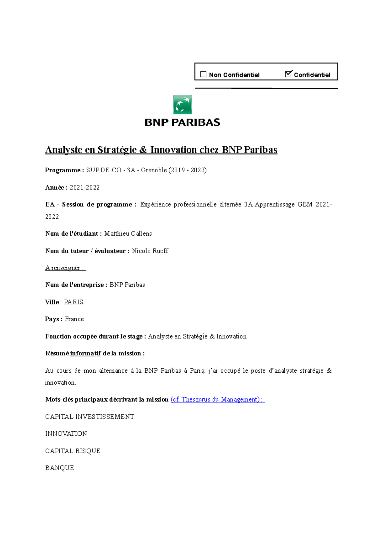 Rapport d'alternance BNP Paribas - Analyste en Stratégie & Innovation ...