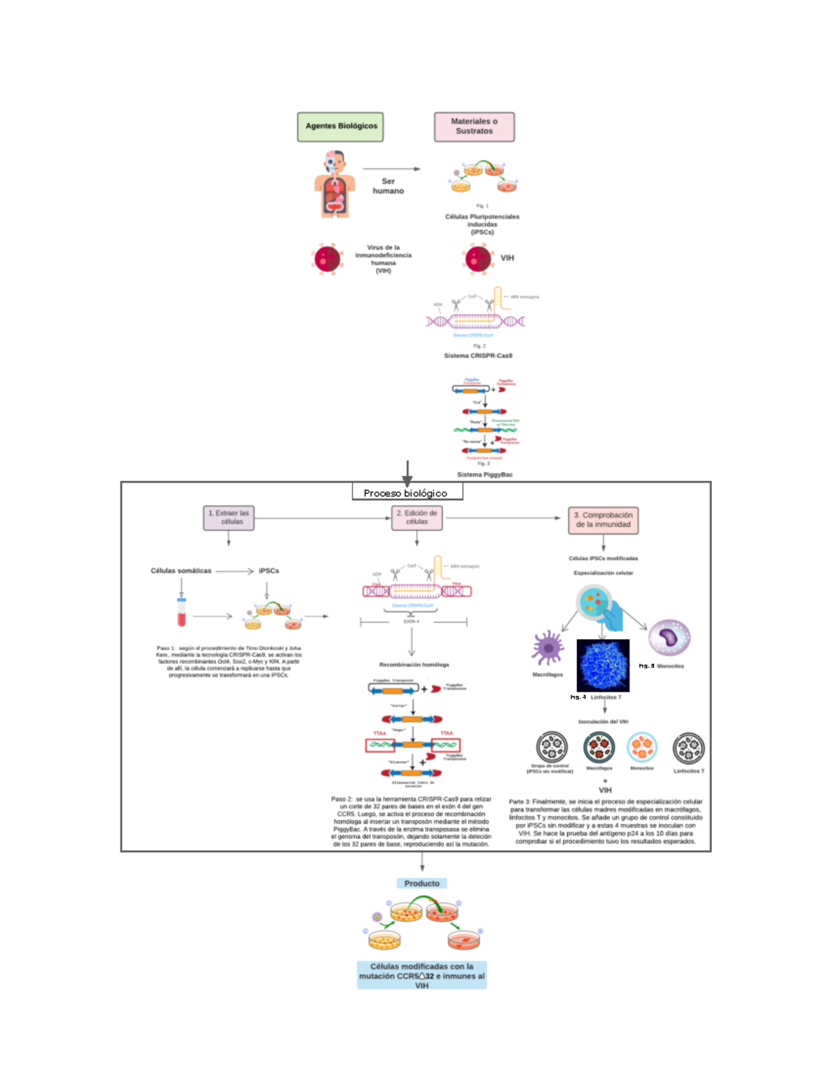 Diagrama de flujo ANTES BIOLOGICOS - Medicina general - Proceso ...
