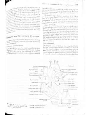 assessment of cardiovascular function(Anatomic and Physiological ...