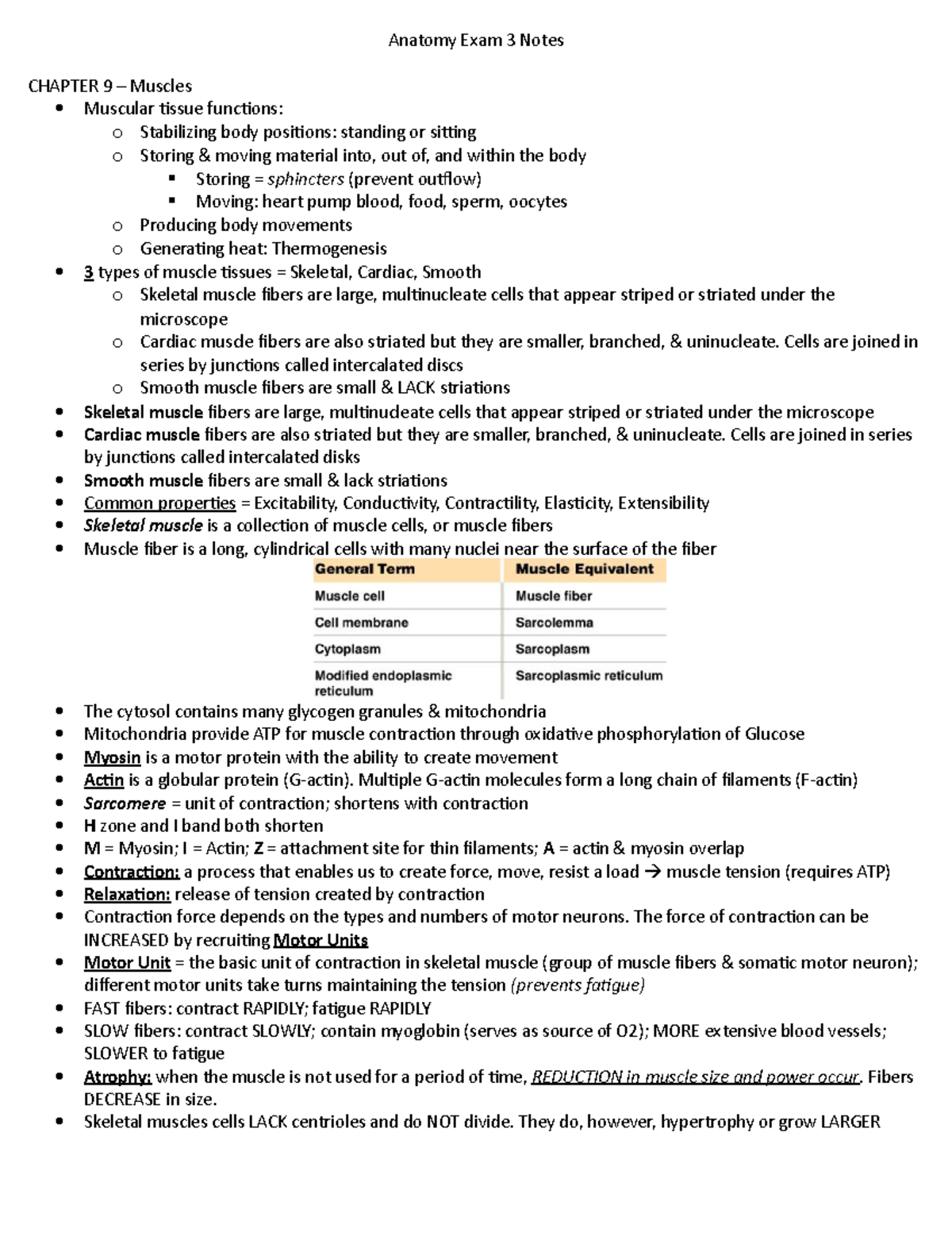 Anatomy Exam 3 Notes - Anatomy Exam 3 Notes CHAPTER 9 – Muscles ...