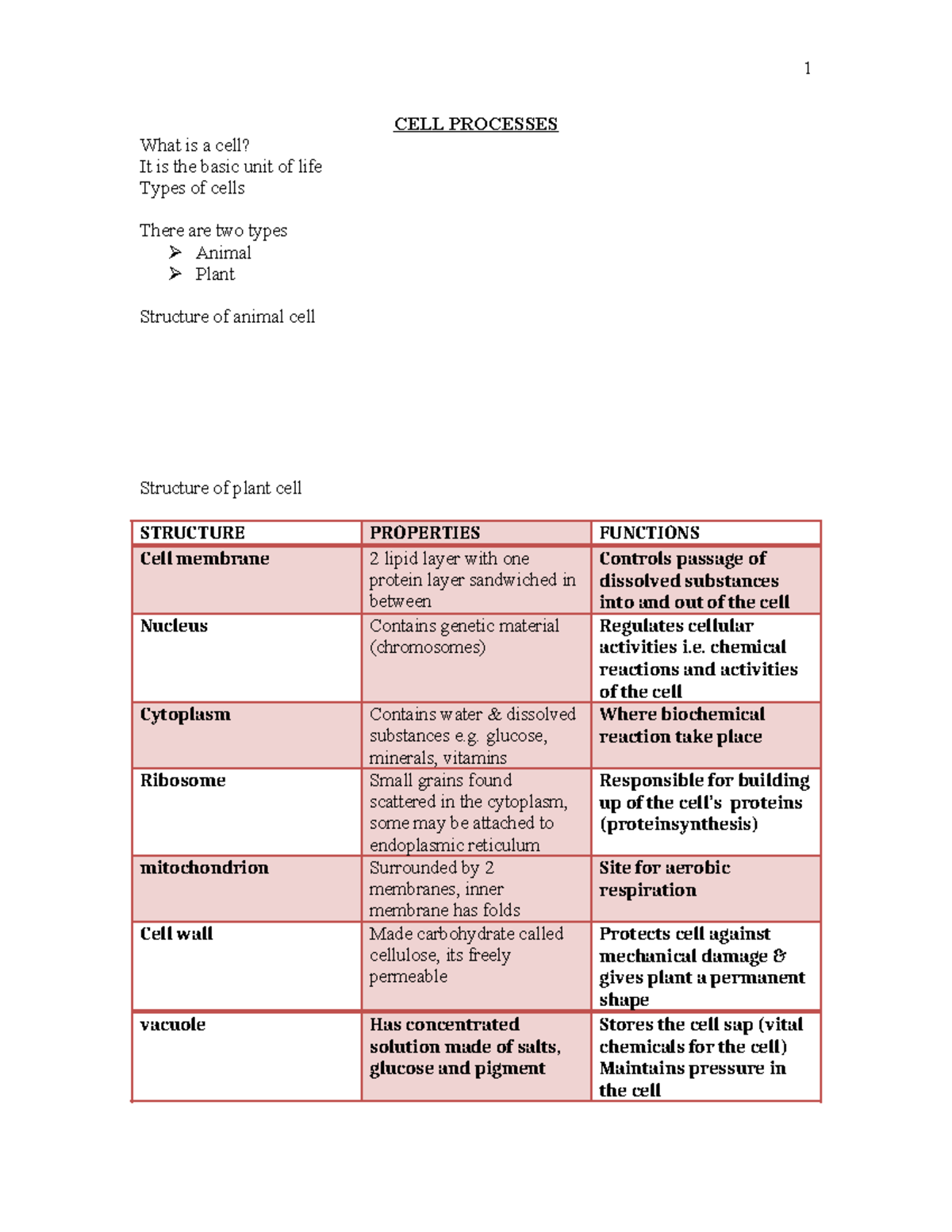 CELL Processes in the year - CELL PROCESSES What is a cell? It is the ...