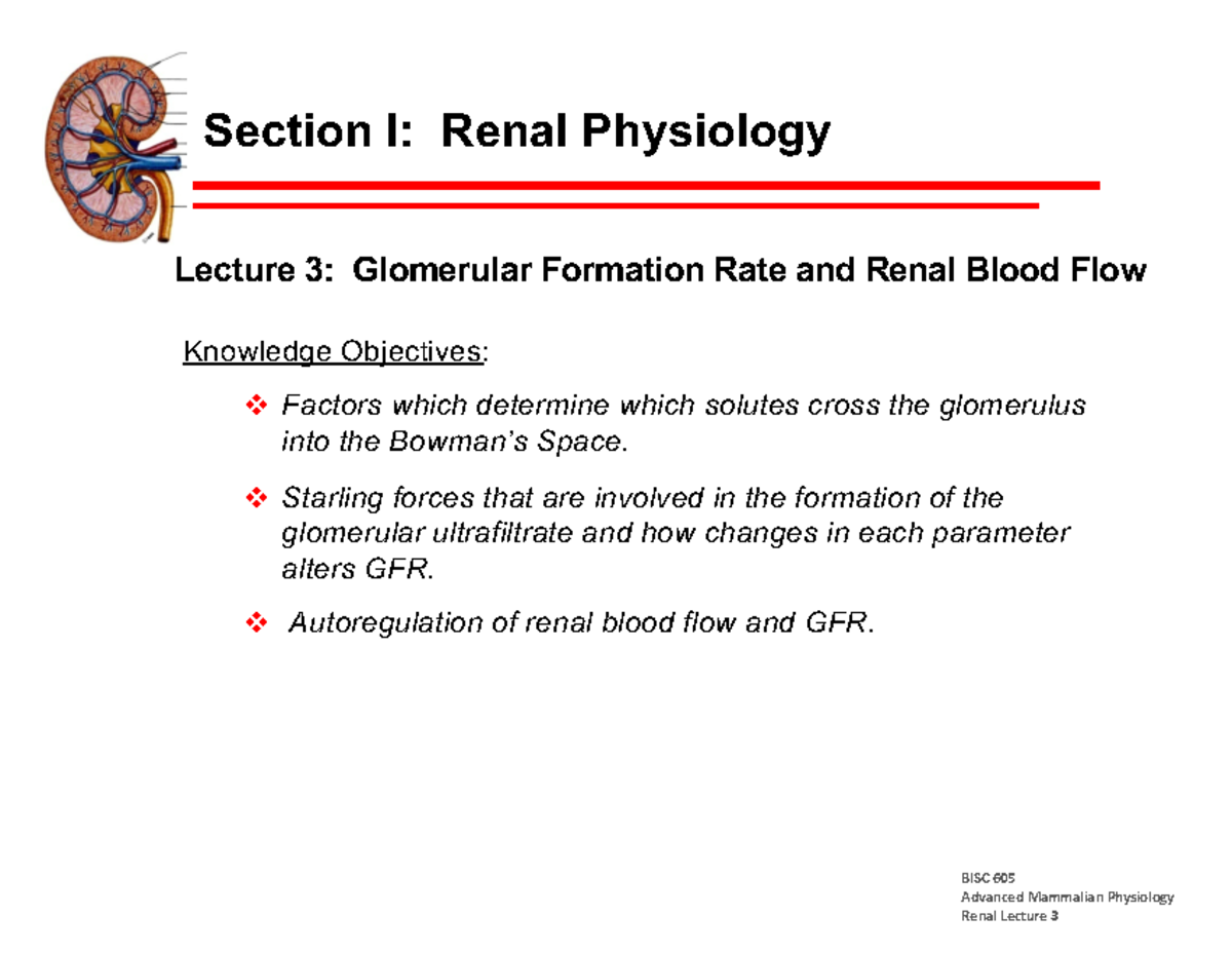 Renal Physiology Koeppen
