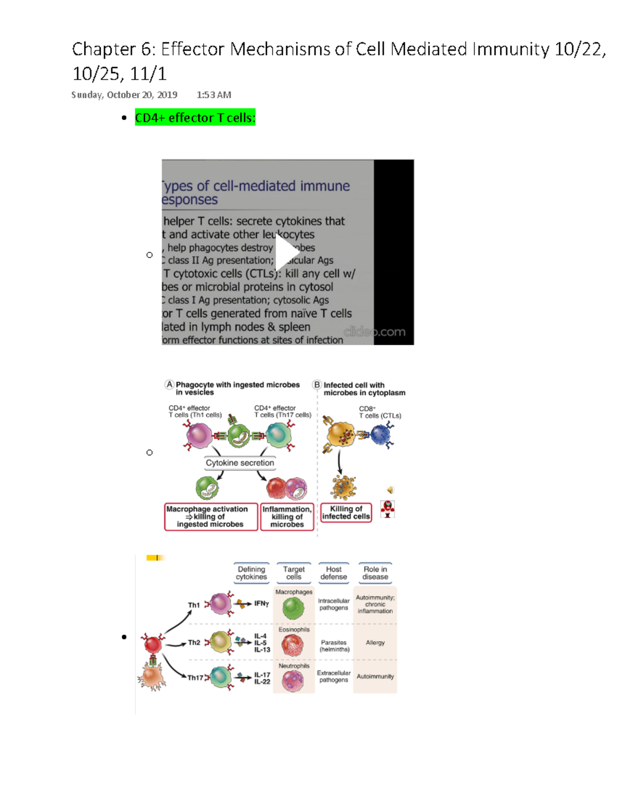 7- Effector Mechanism of Cell Mediated Immunity - Warning: TT: undefined function: 32 ͻ - Studocu