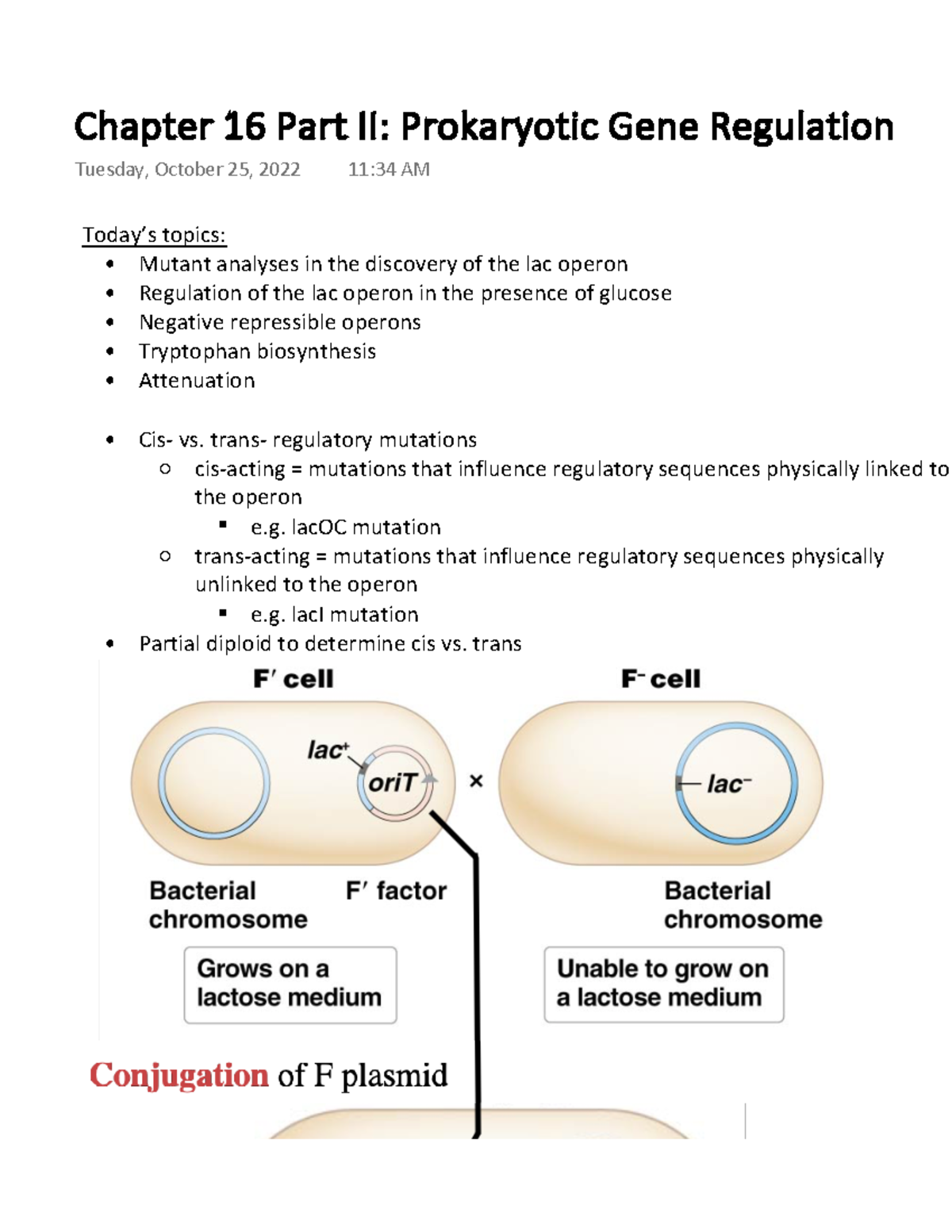 Module 3 Chapter 16 Part II Prokaryotic Gene Regulation (lecture ...