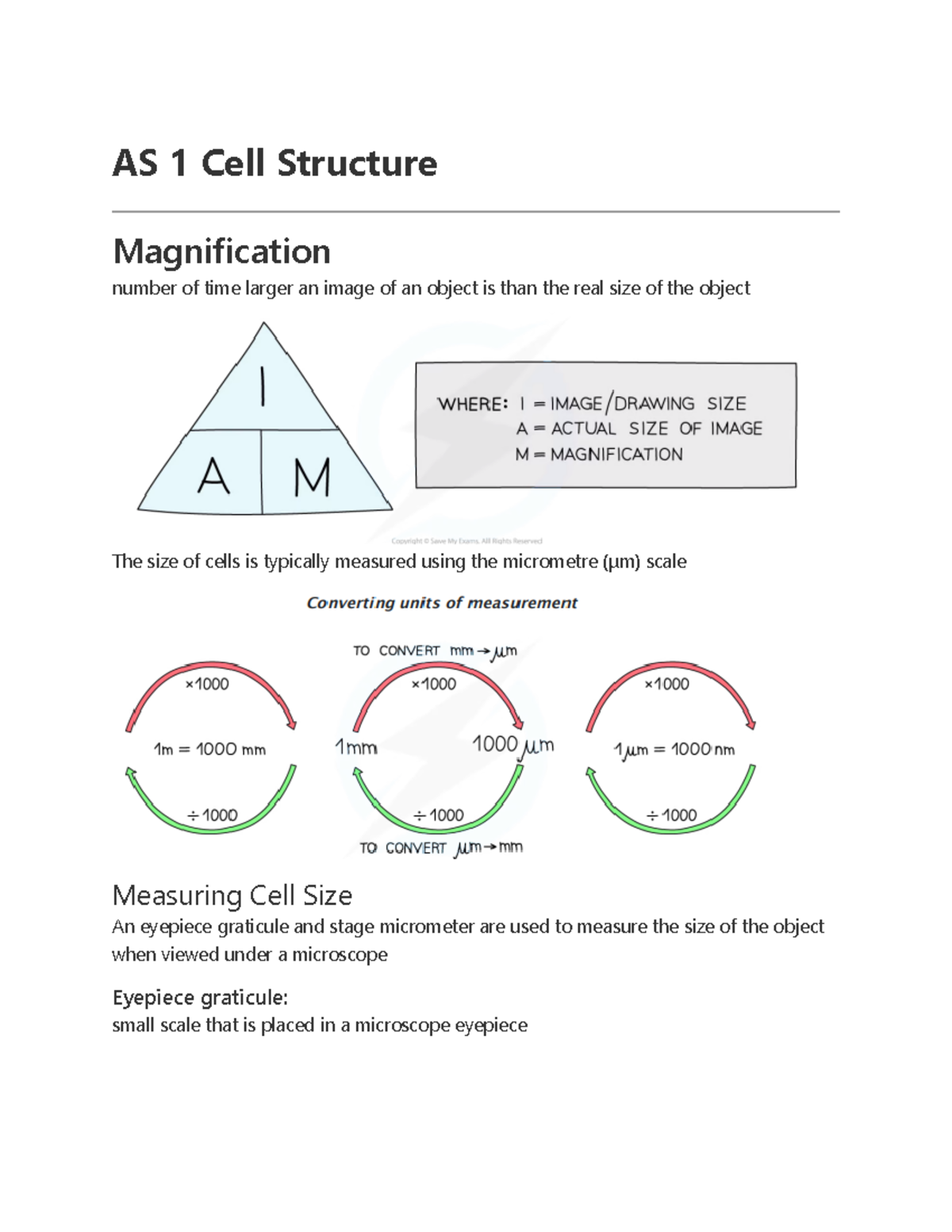 Bio AS - AS 1 Cell Structure Magnification number of time larger an ...
