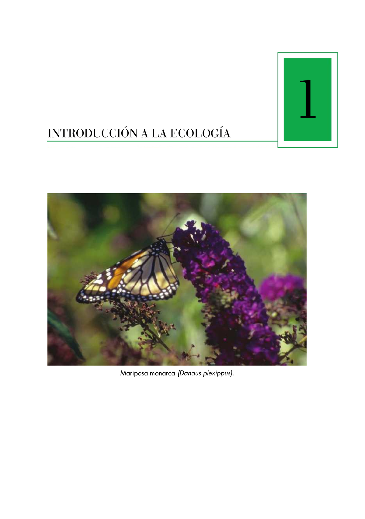 Ecología I. Tema 1 - PDF del tema 1 de la bibliografía básica, corregido - INTRODUCCIÓN A LA ...