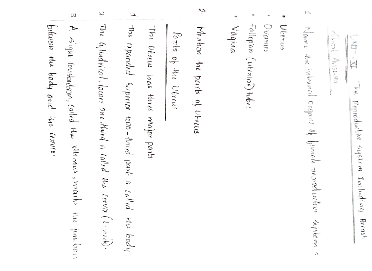 Anatomy unit 11 the reproductive system including breast - Bsc.nursing ...