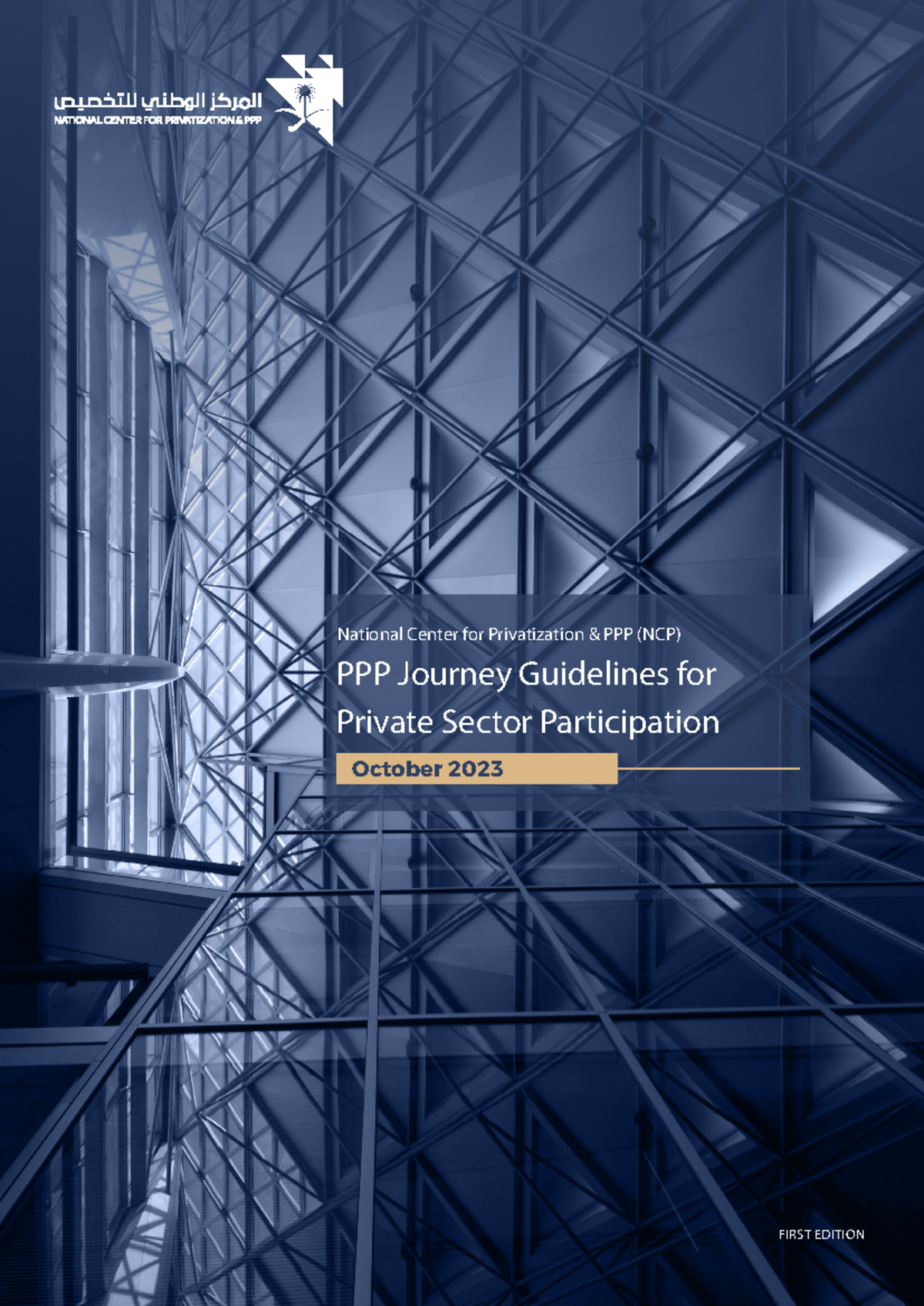NCP PPP Journey Guidelines - FIRST EDITION National Center for ...
