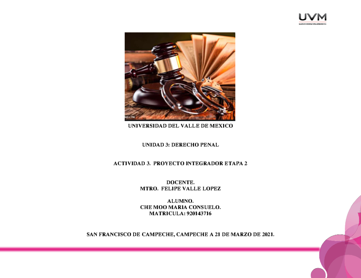 PROYECTO INTEGRADOR ETAPA 2 - UNIVERSIDAD DEL VALLE DE MEXICO UNIDAD 3: DERECHO PENAL ACTIVIDAD ...