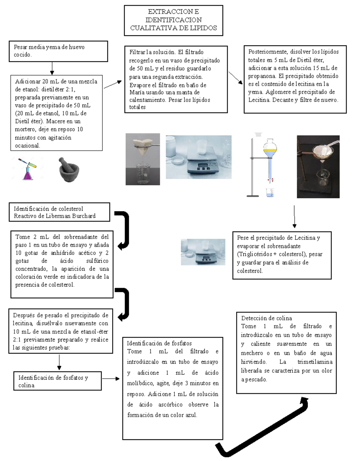 Diagrama lipidos - muy ueno - Adicionar 20 mL de una mezcla de etanol ...