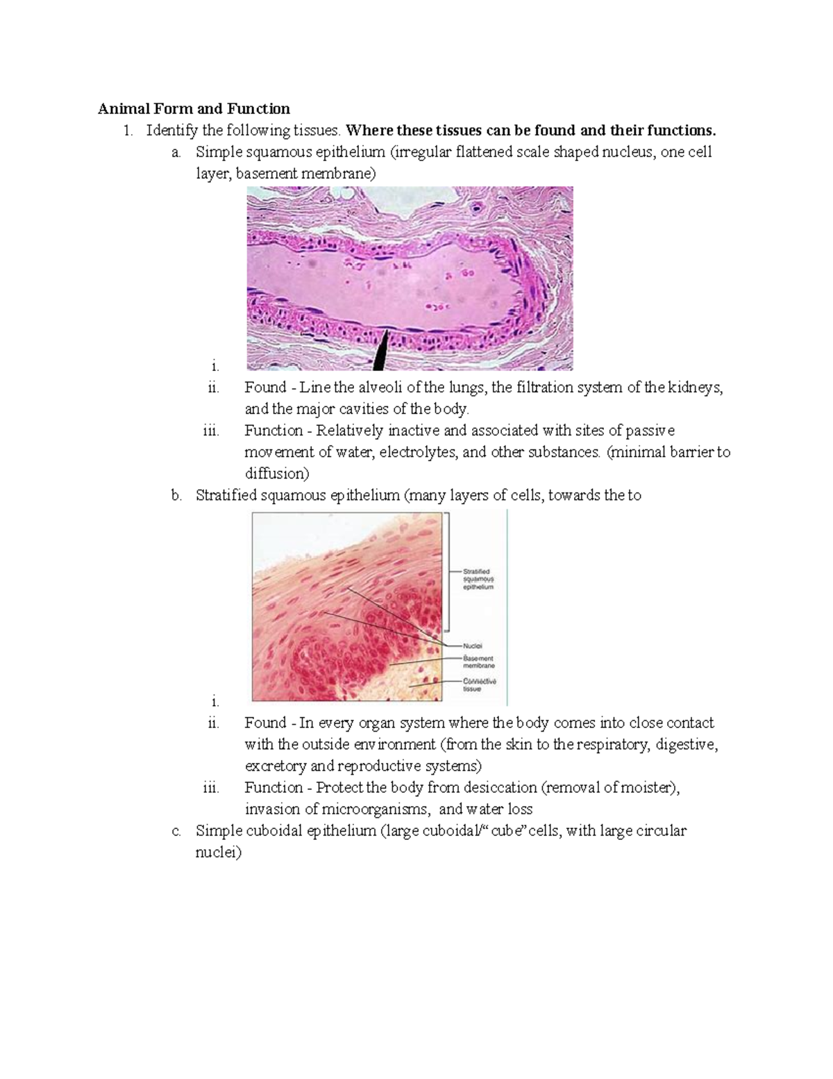 Biology II Lab Review; Animal Form and Function - Animal Form and ...