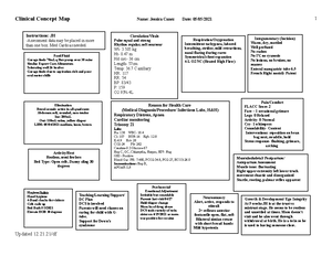 Concept Map / care plan for nursing - Clinical Concept Map Name ...