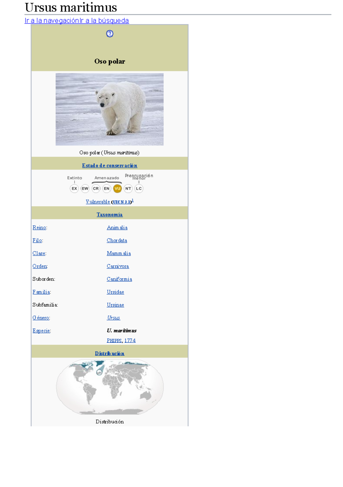 Oso polar - apuntes - Ursus maritimus Ir a la navegaciónIr a la ...