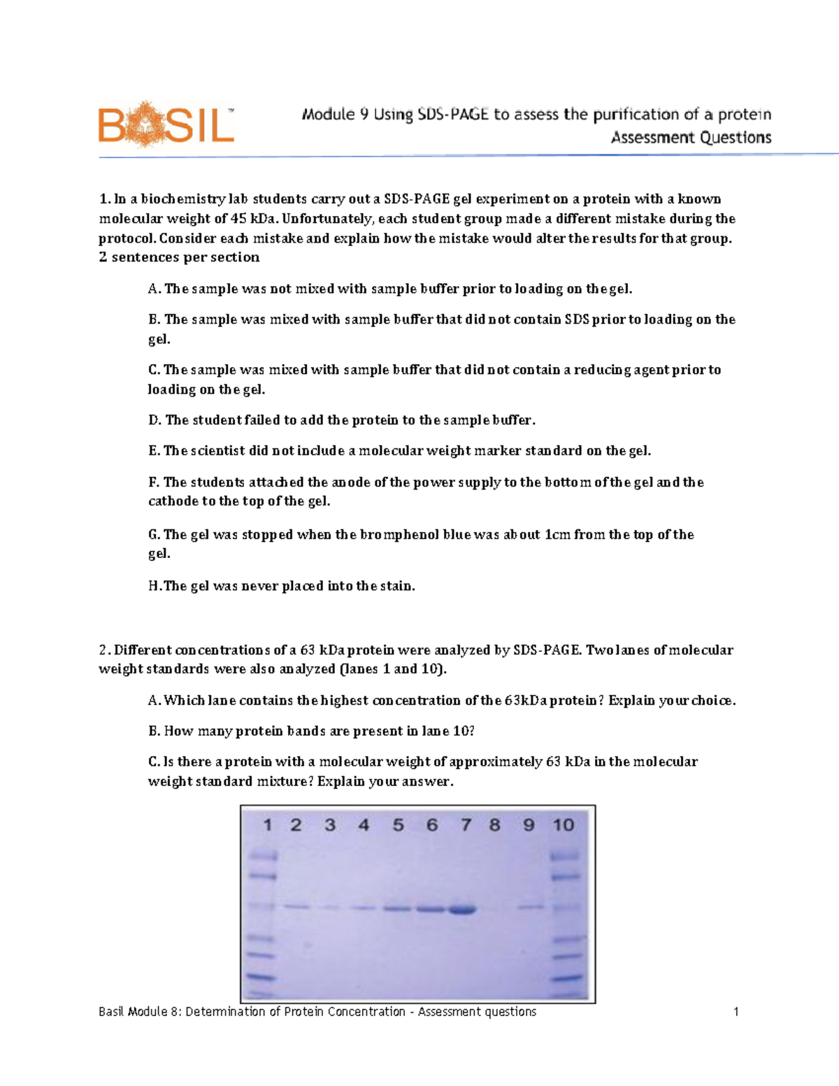 SDS PAGE postlab questions - Basil Module 8: Determination of Protein ...