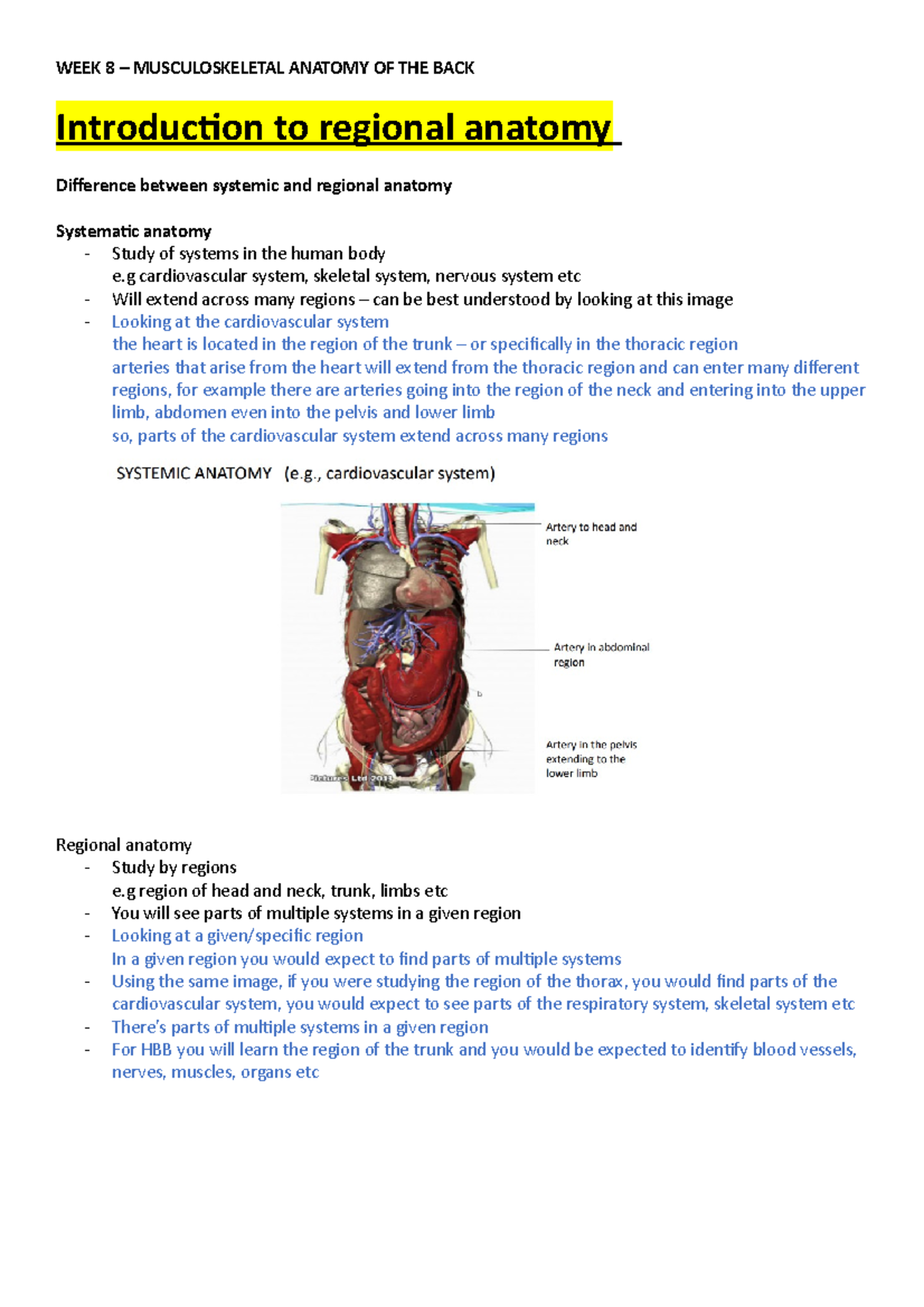 The Back - Week 8 - WEEK 8 – MUSCULOSKELETAL ANATOMY OF THE BACK ...