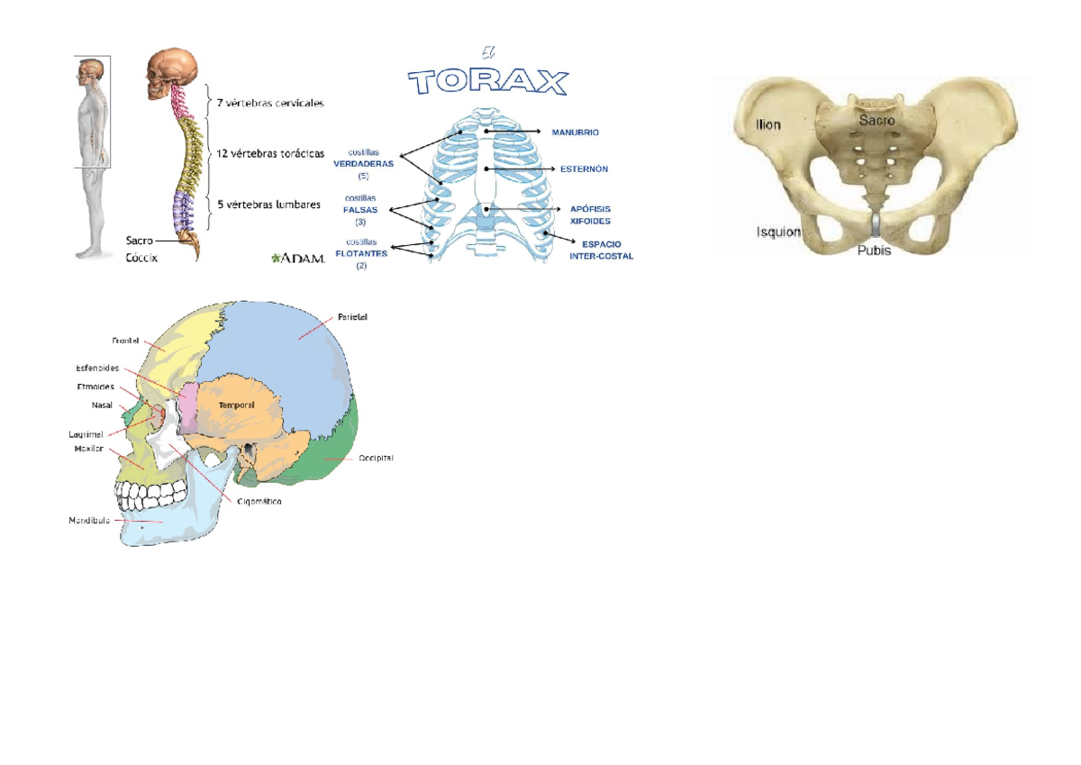 Doc1 - Resumen Ingenieria Civil - Studocu