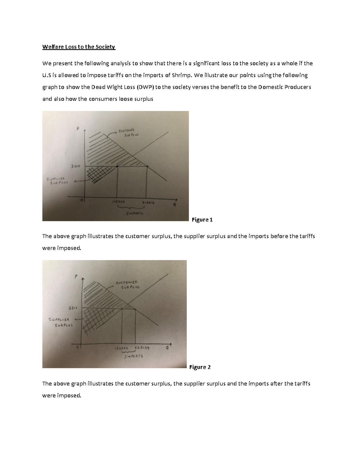 Economics Individual Assignment - Warning: TT: undefined function: 32 Welfare Loss to the ...