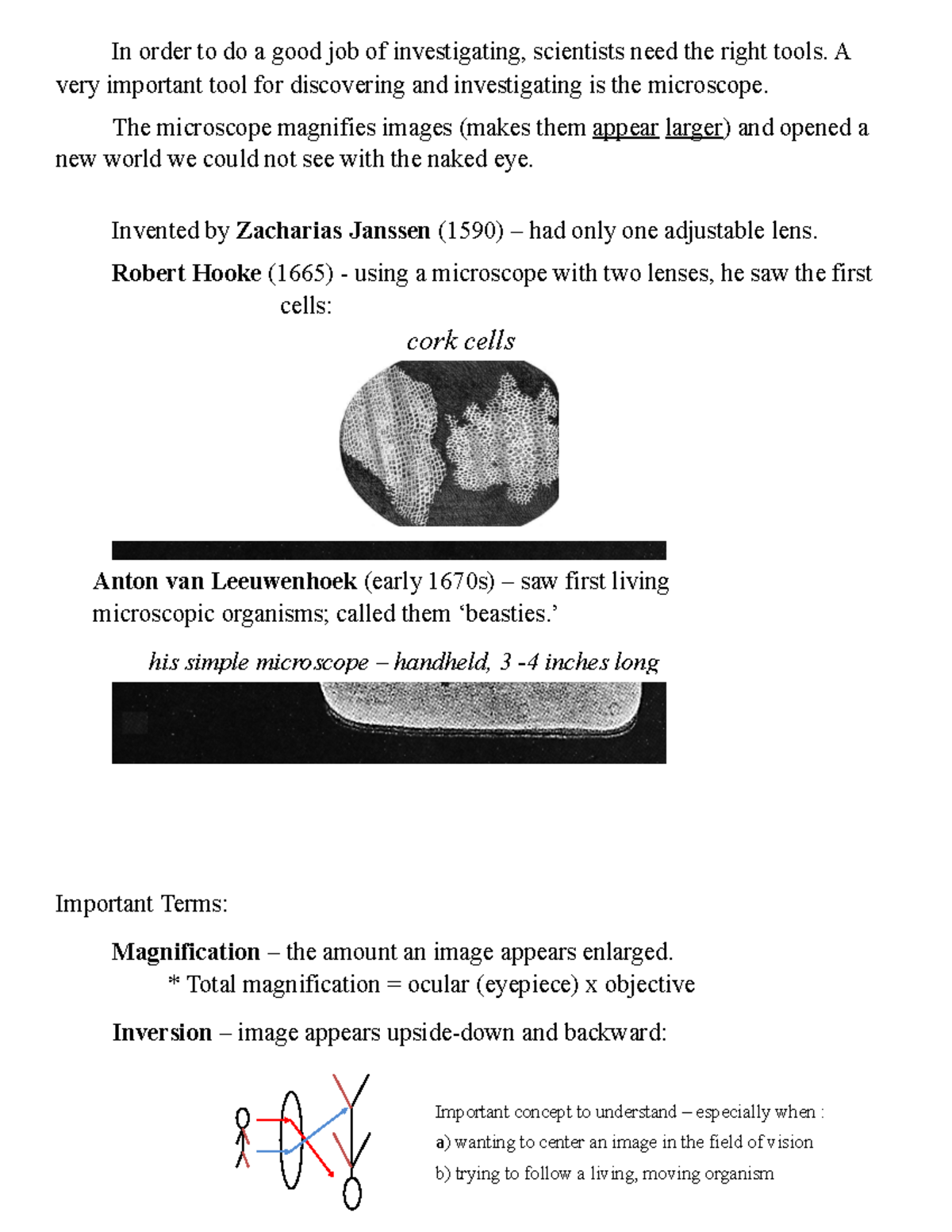 Lab 2 Microscopy and anatomy of a microscope - In order to do a good ...