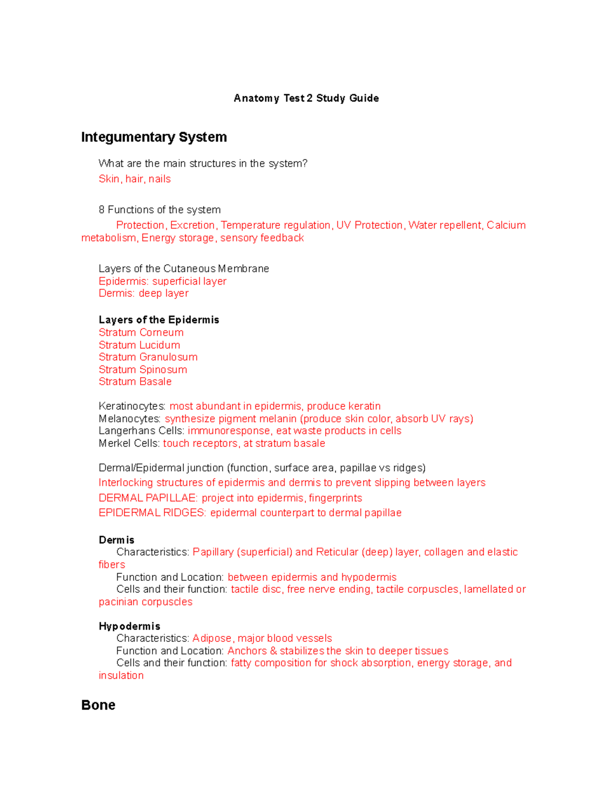 Anatomy Test 2 Study Guide - Anatomy Test 2 Study Guide Integumentary ...