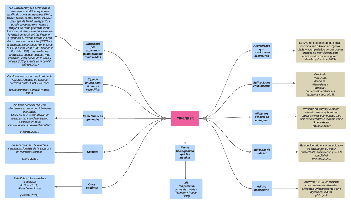 Mapa conceptual - Invertasa Sintetizada por organimos genéticamente modificados Caracteristicas ...