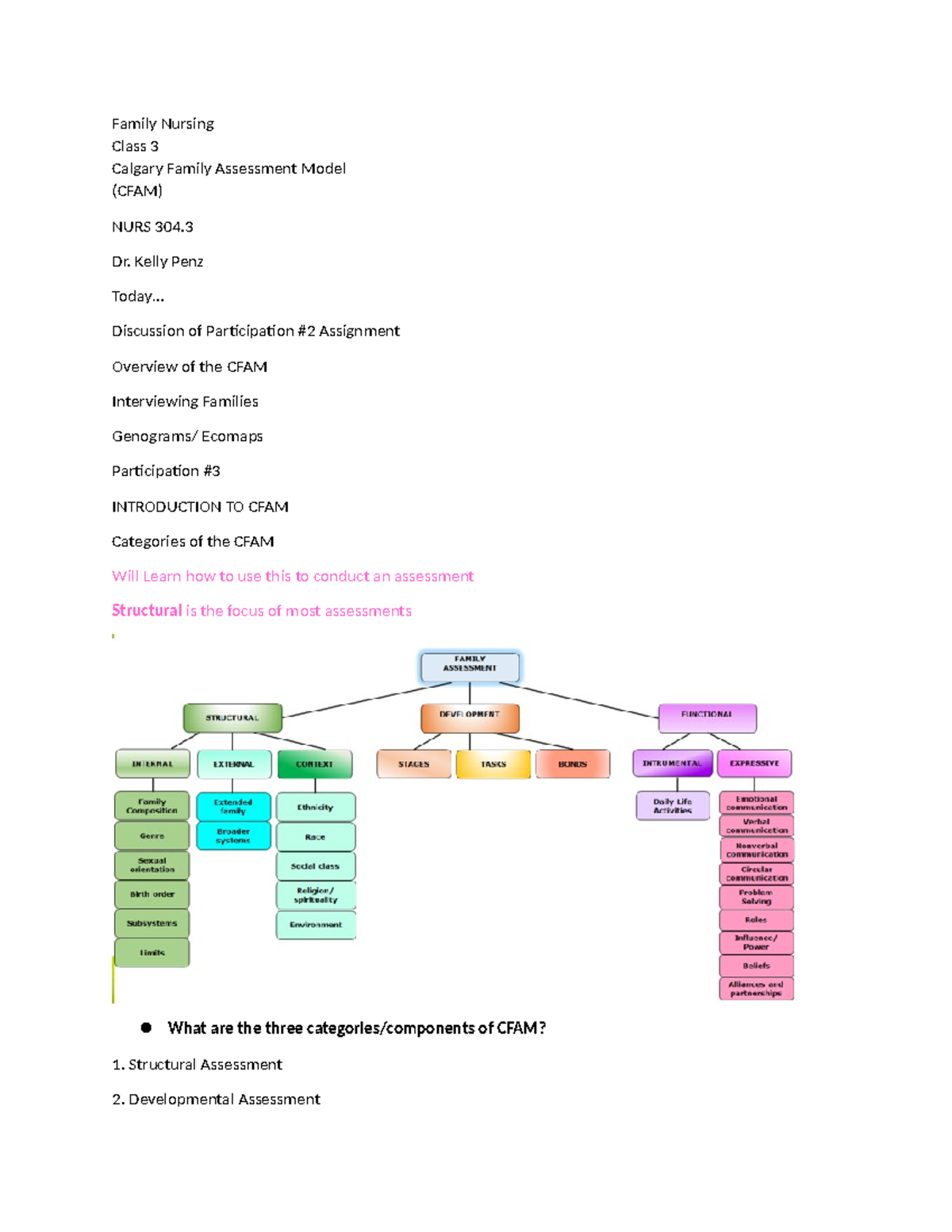 304 Week 3 - lecture notes - Family Nursing Class 3 Calgary Family ...