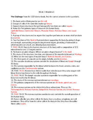 Week 4 Worksheet - Week 4 Worksheet Challenge Answer the questions ...