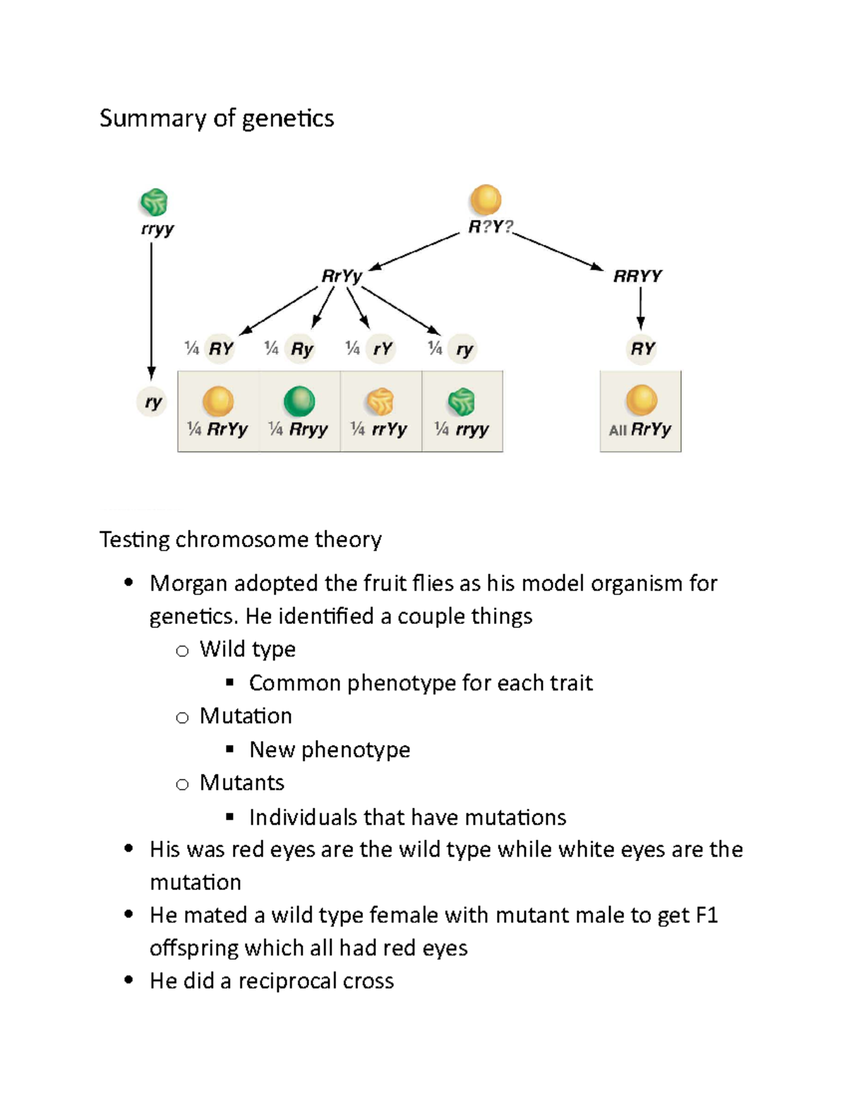 Summary of genetics - Summary of genetics Testing chromosome theory ...