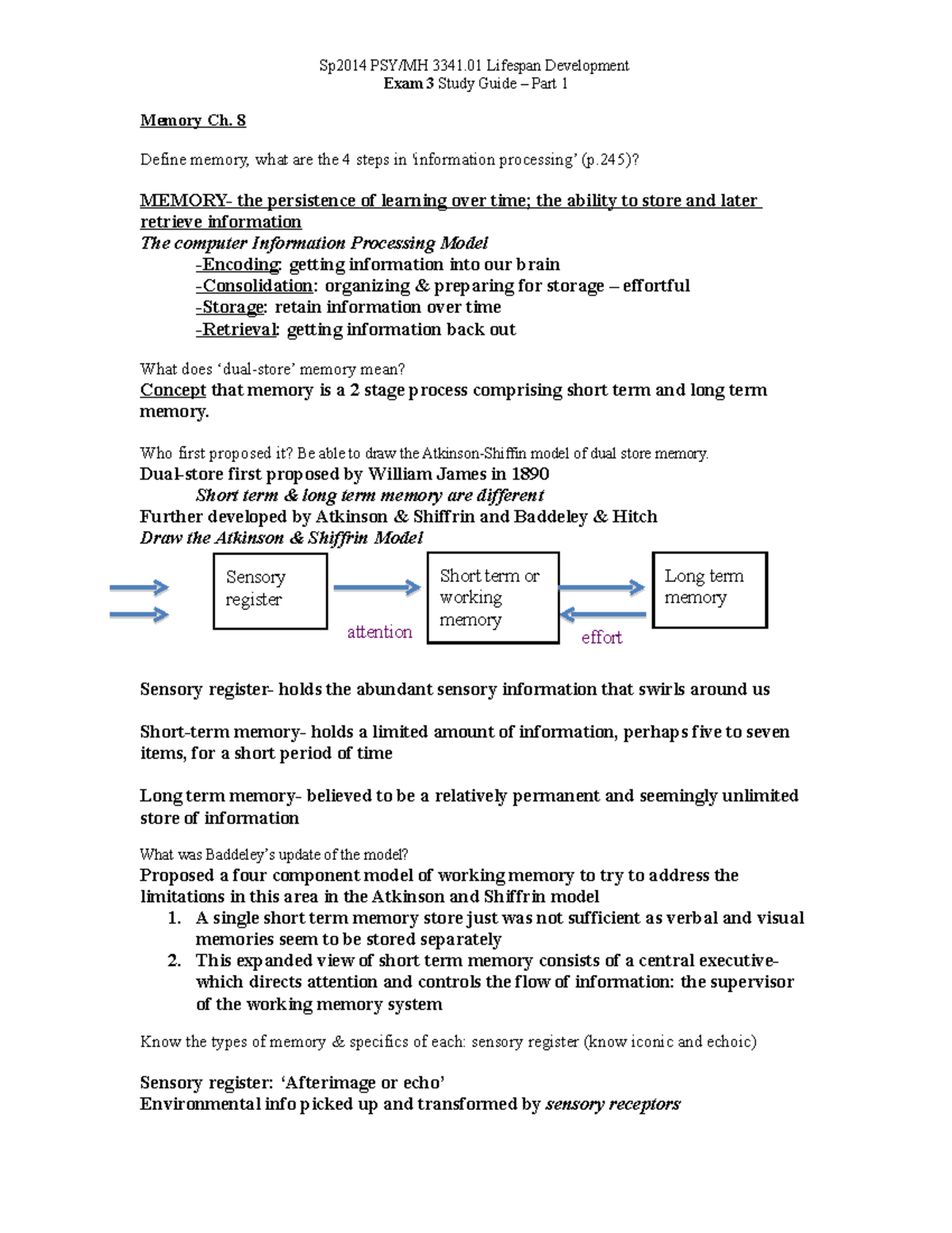 Exam3 Study Guide pt 1 PSY MH 3341Sp2016 - Sp2014 PSY/MH 3341 Lifespan ...