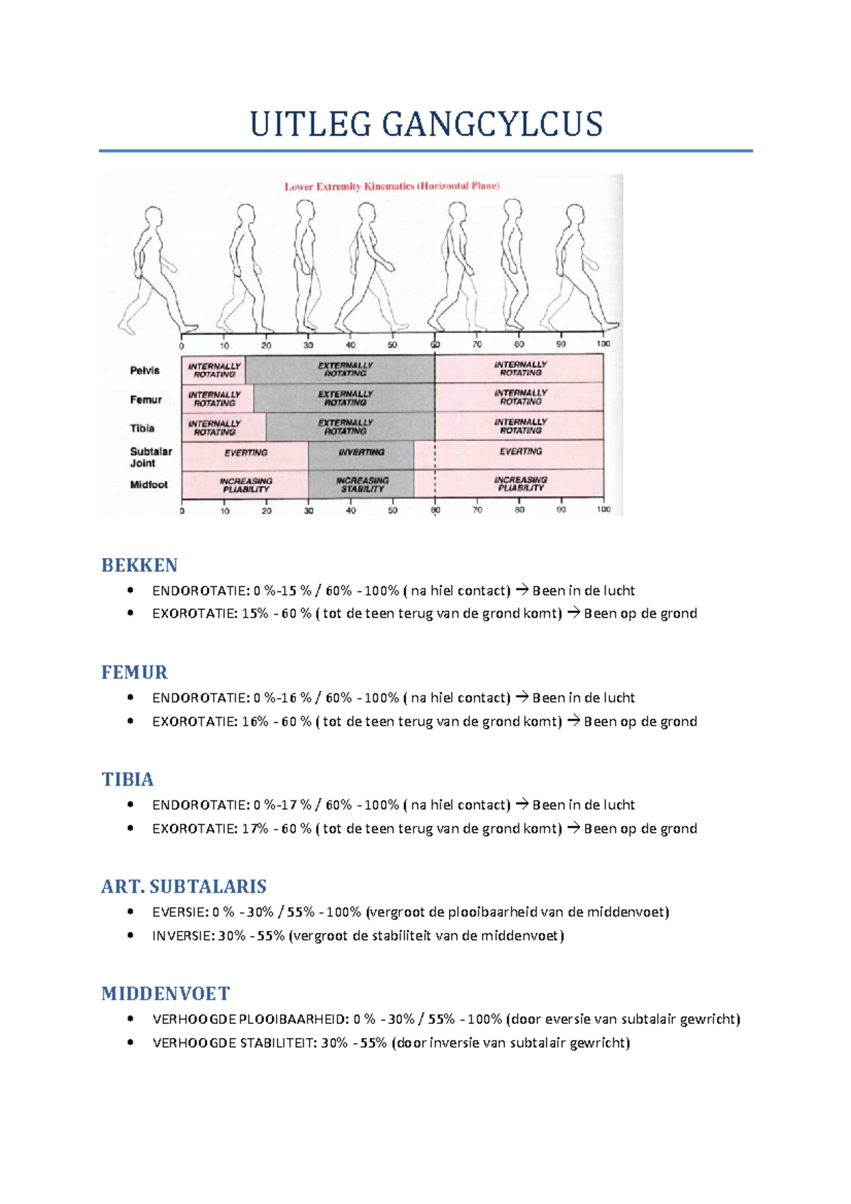 Uitleg Gangcyclus - UITLEG GANGCYLCUS BEKKEN ENDOROTATIE: 0 %-15 % / 60 ...