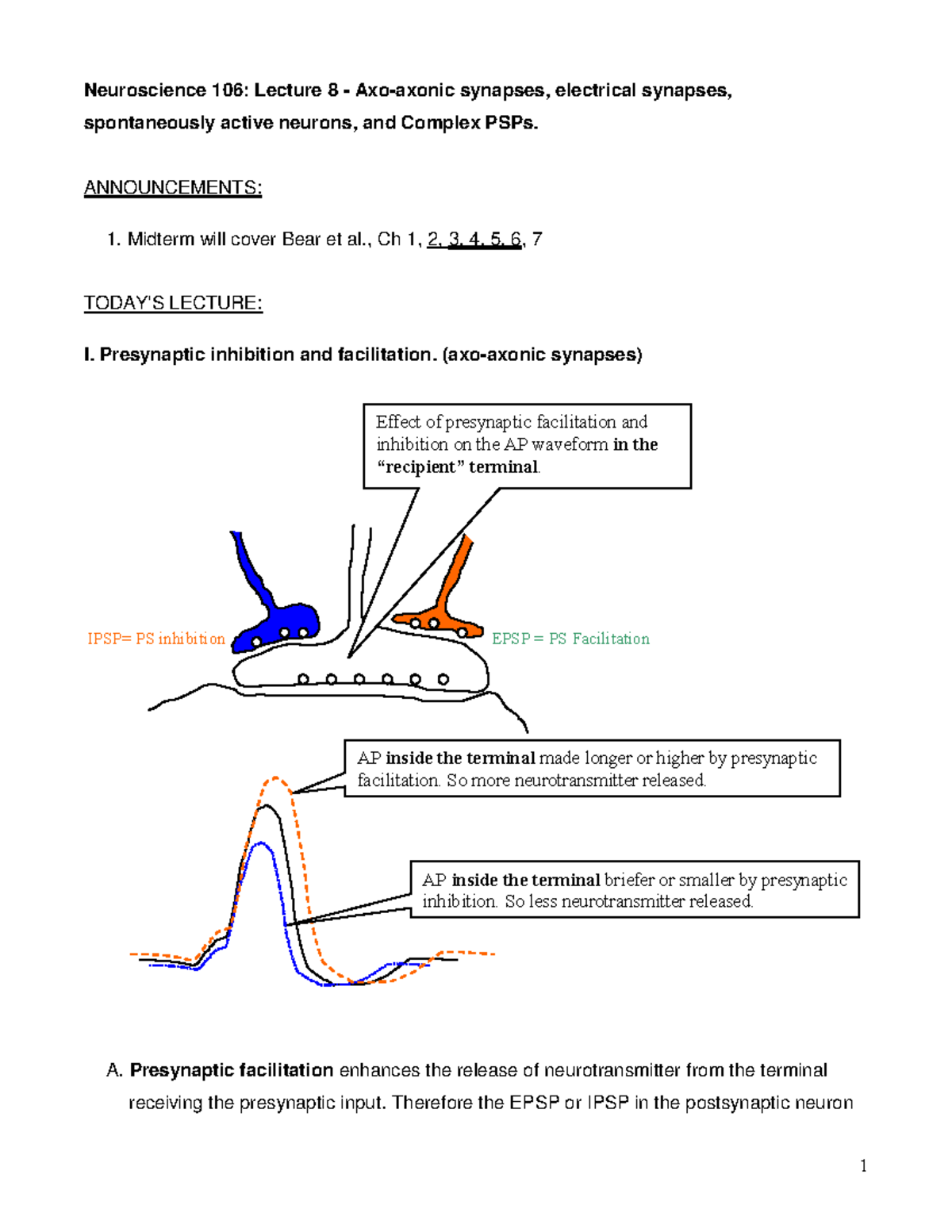 Lecture 8 - Dr. Fiacco - Neuroscience 106: Lecture 8 - Axo-axonic ...