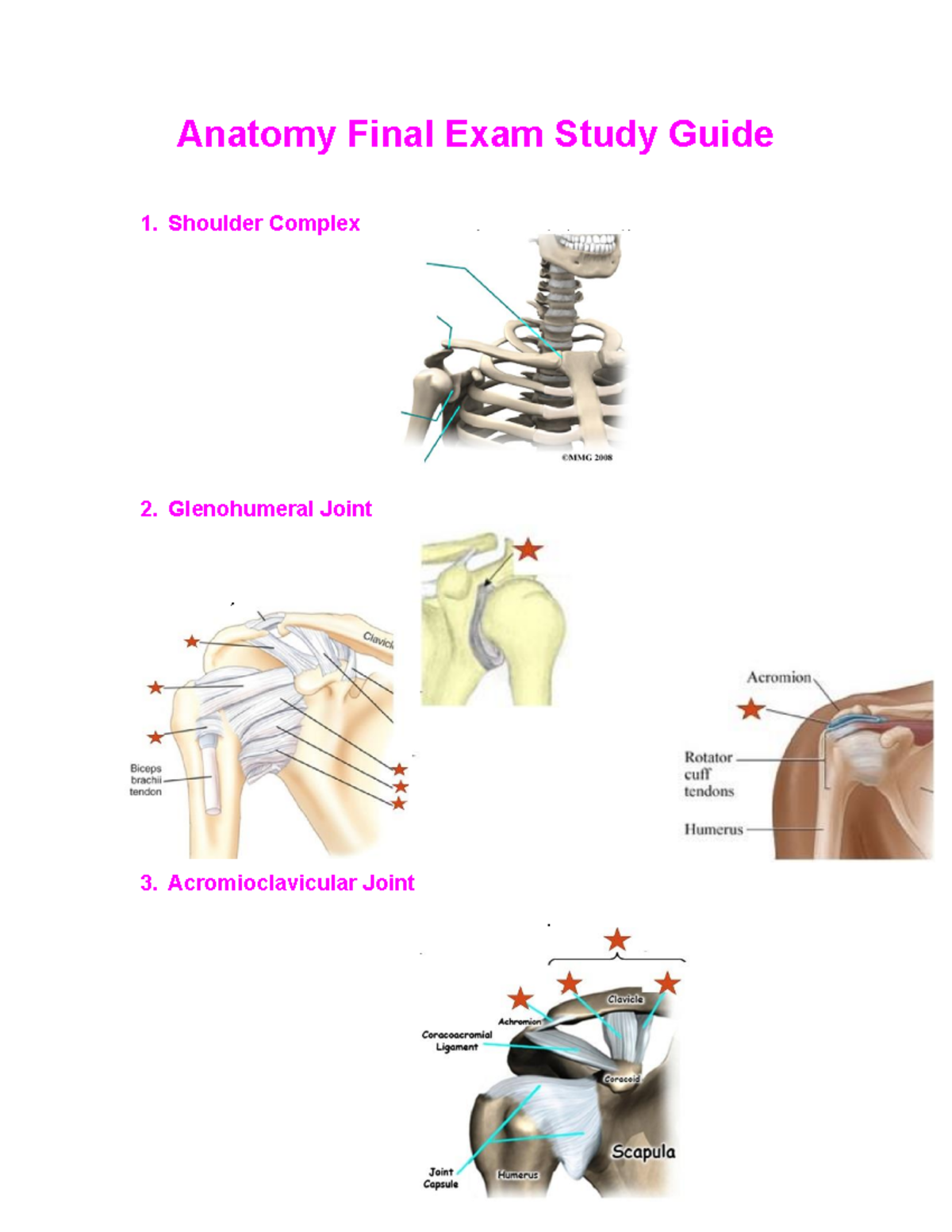 Anatomy Final Exam-2 - Shoulder Complex 2. Glenohumeral Joint 3 ...